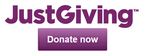 justgiving-logo – EventWell®